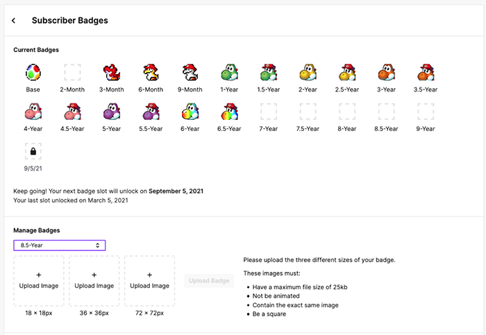 The ultimate guide to setting Twitch Badge size(2022)