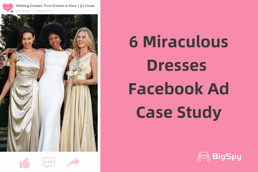 6 Miraculous Dresses Facebook Ad Case Study - BigSpy