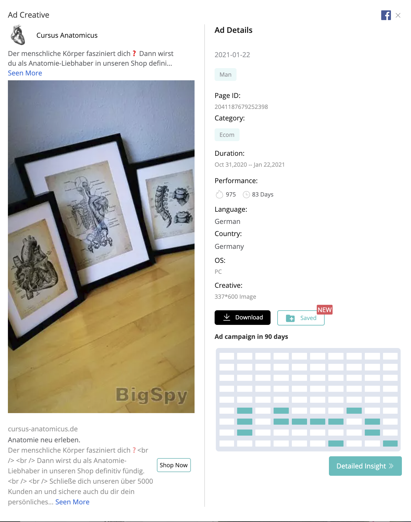 BIGSPY VS ADSPY: Which One is the Best?