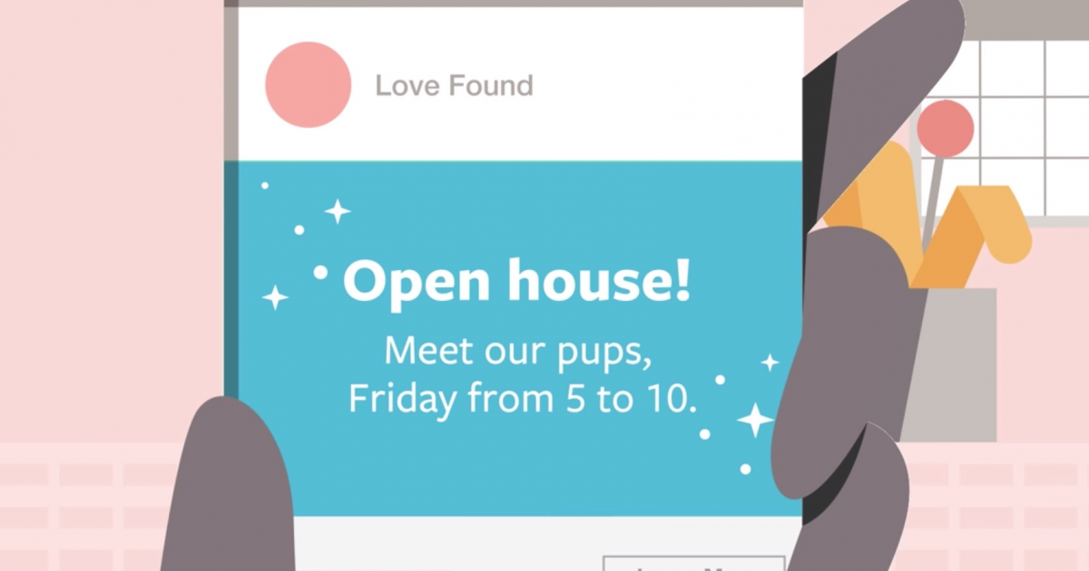 Complete Facebook Slideshow Ads Guide For Beginners - BigSpy